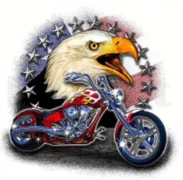 Diamant Painting Adler mit Bike C47 (Neu und originalverpackt) in ...