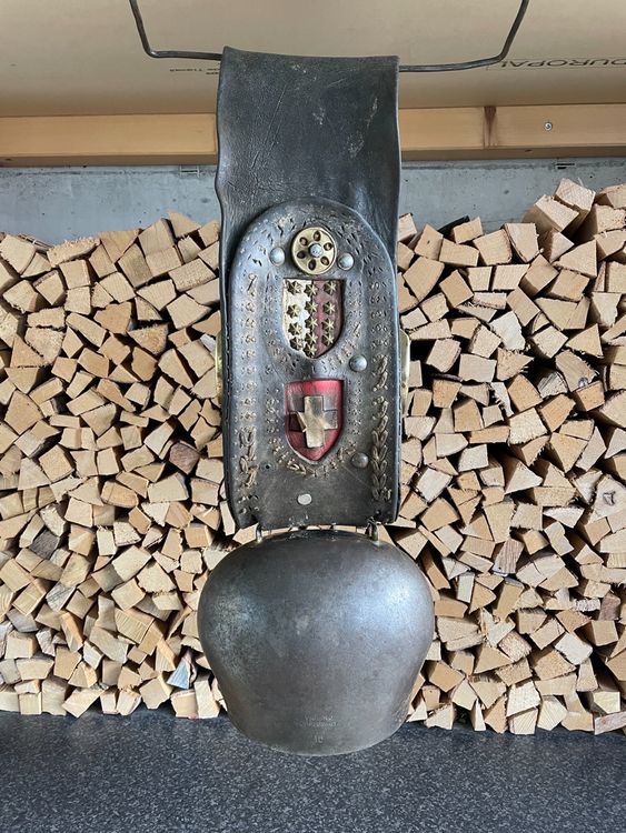 Treichel ab CHF 1.- (Gebraucht) in Altdorf für CHF 216 – mit Lieferung auf Ricardo kaufen