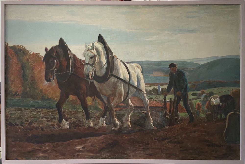 Pfander W. (Gebraucht) in Grosshöchstetten für CHF 450 – nur Abholung ...