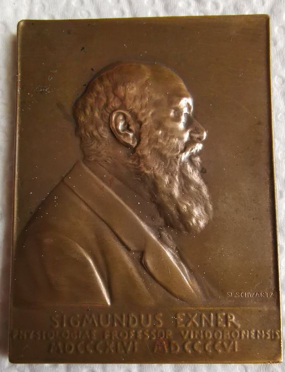 Medaille SIC mundus EXNER 1921 (Gebraucht) in Liestal für CHF 7 – mit ...