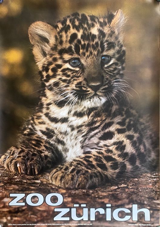 Original Große Litho Plakat „Zoo Zürich“ (Gebraucht) in Root für CHF 19 – mit Lieferung auf ...