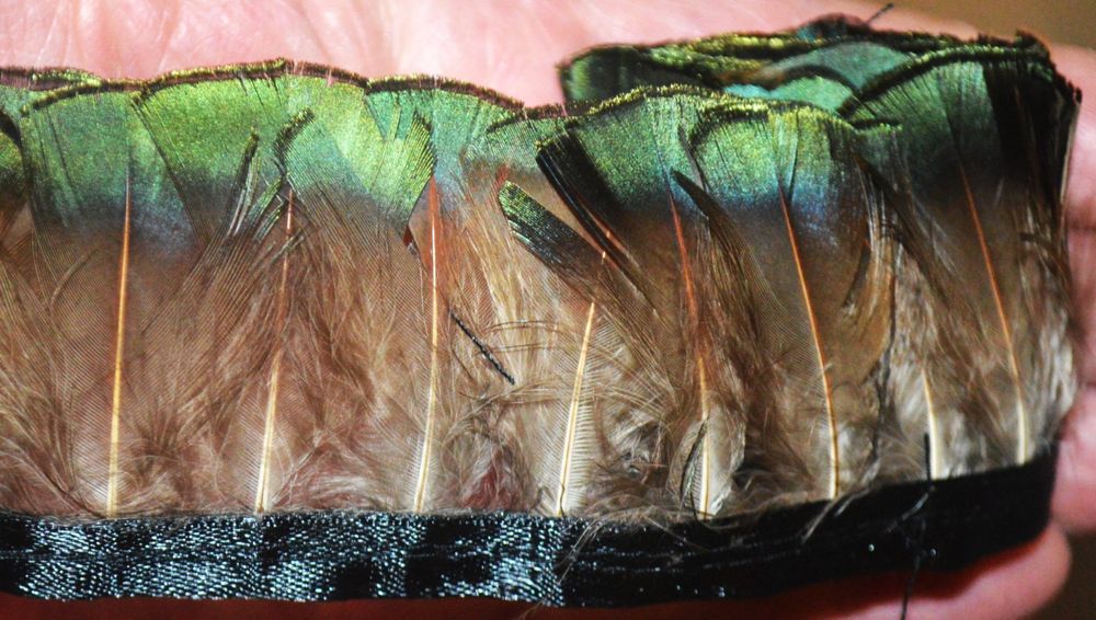 Deko Federn 468 – Band mit Federn – Fasan – Girlande - 1 M. | Kaufen ...