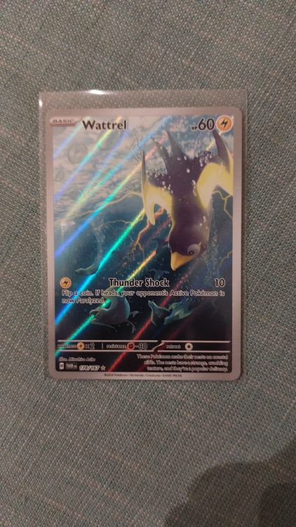 Wattrel Illustration Rare Twilight Masquerade | Kaufen auf Ricardo