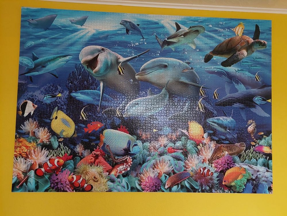 Puzzle 6000 Teile auf Holz | Kaufen auf Ricardo