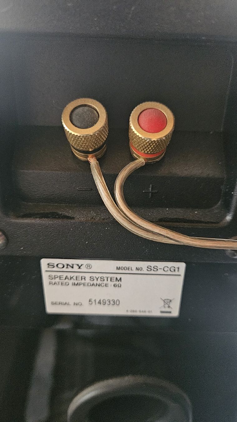 Sony SS-CG1 Speaker System, Perfect for Cozy Nights! (Neu (gemäss ...