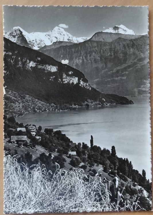 Merligen - Eiger-Mönch-Jungfrau -1939 (Gebraucht) in St Léonard für CHF ...