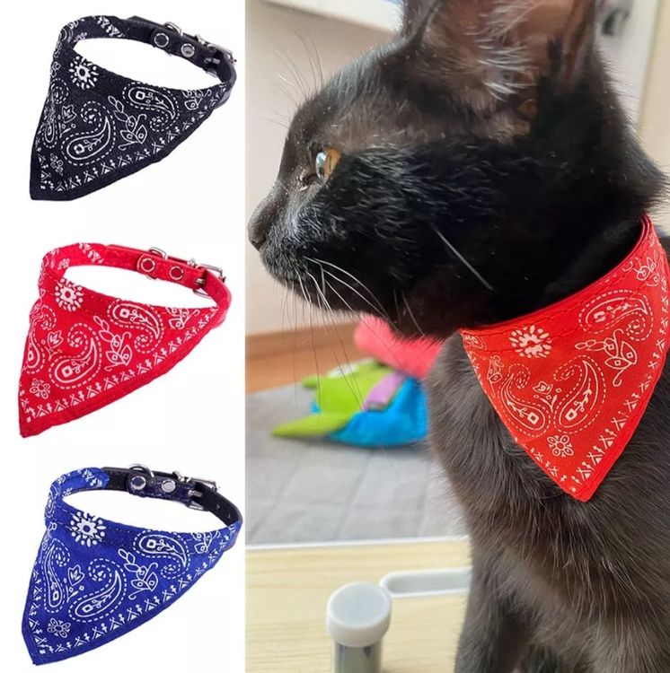 Halsband mit kleinem Tuch für Katzen (Neu und originalverpackt) in ...