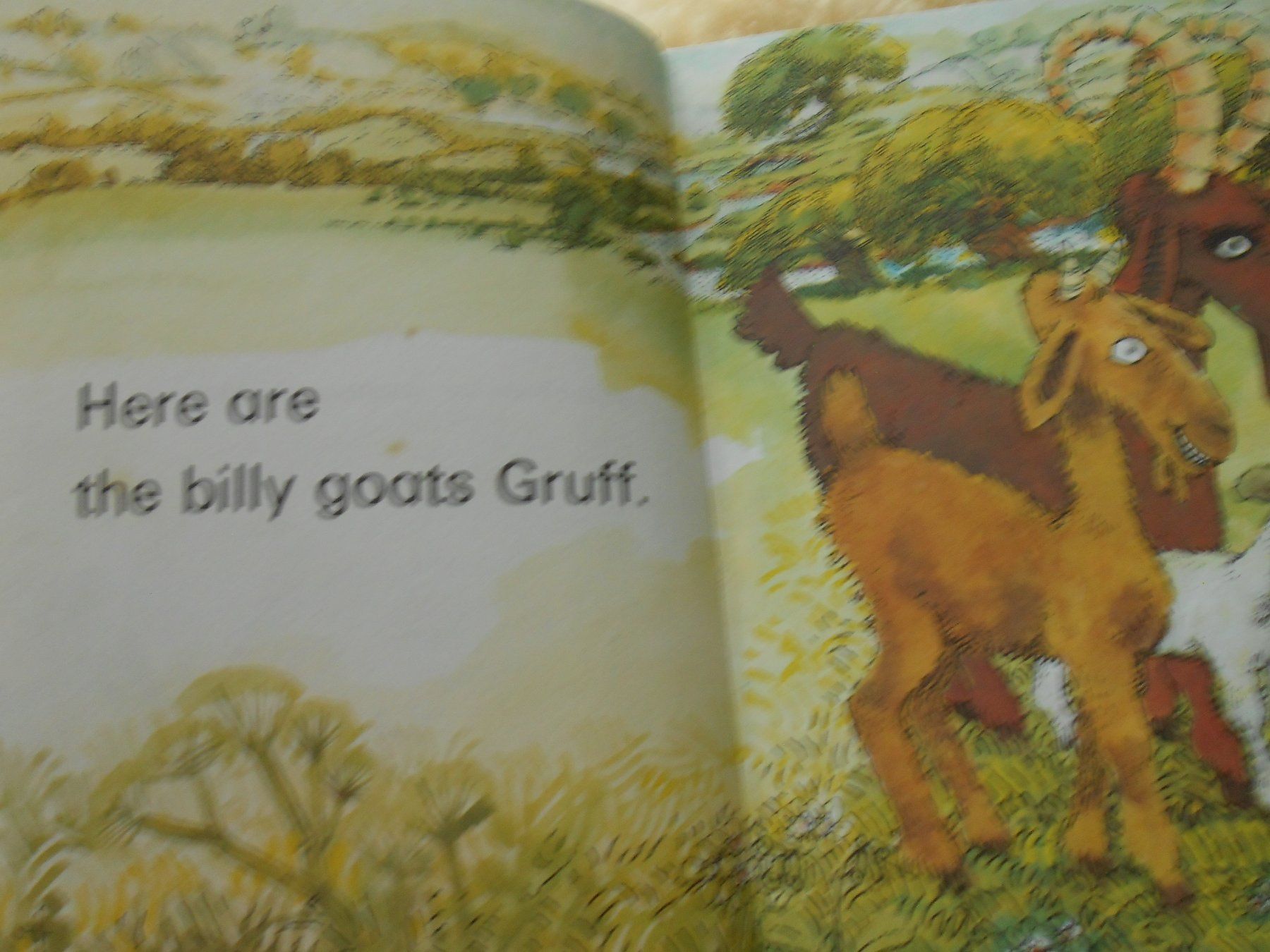 Billy Goats Gruff - erstes Lesen engl. aus UK (Gebraucht) in ...
