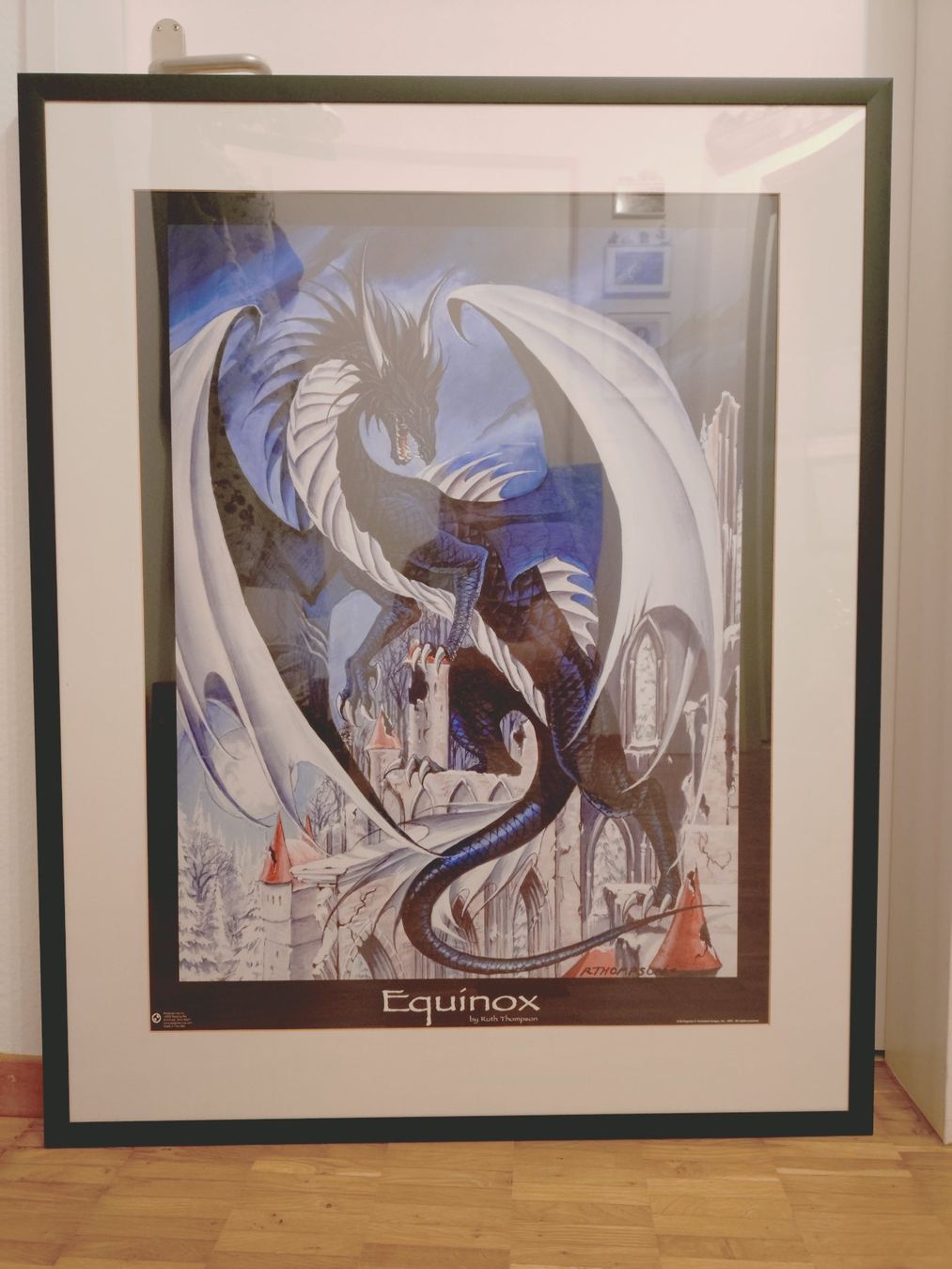 Poster Drachen Equinox von Ruth Thompson (Gebraucht) in Langnau am ...