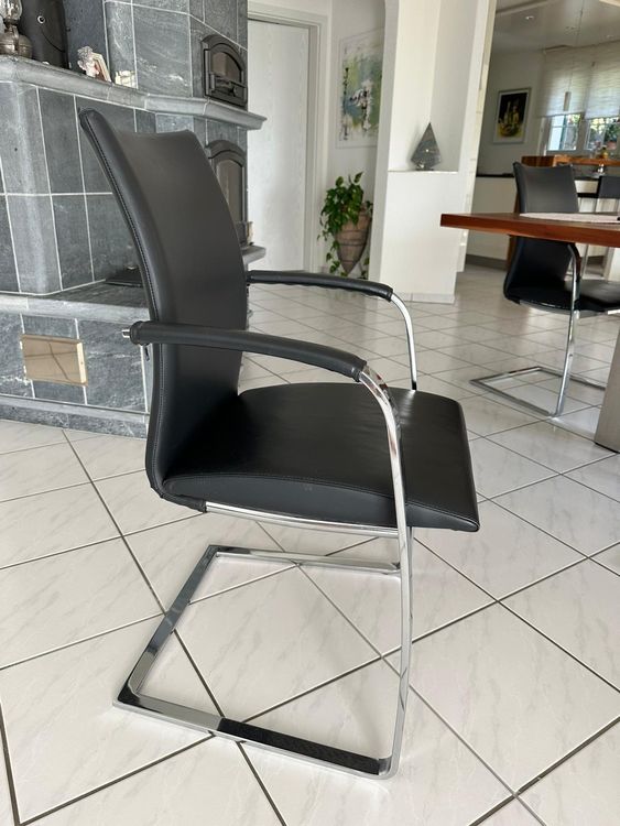 Freischwinger-Stuhl (Gebraucht) in Honau für CHF 900 – nur Abholung auf Ricardo kaufen