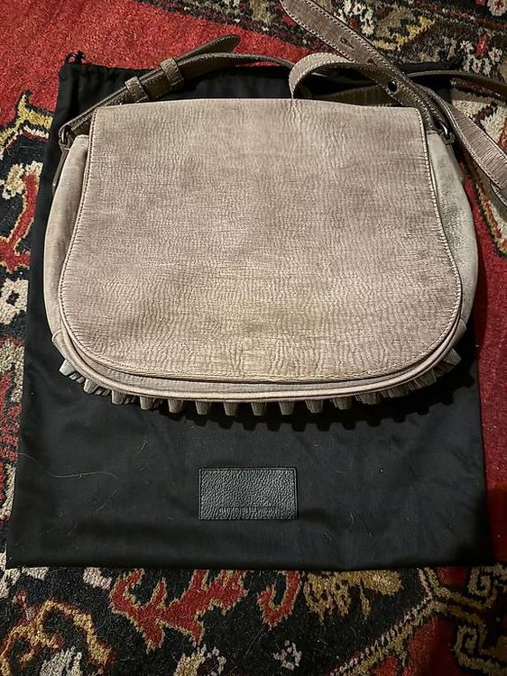 Borsa Alexander Wang (Usato) a Pregassona per CHF 300 – con consegna ...