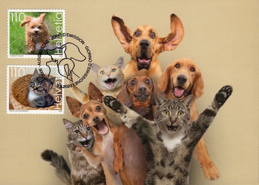 Maximumkarte Süsse Tiere - Hund und Katze (Neu (gemäss Beschreibung)) in Dottikon für CHF 6 ...