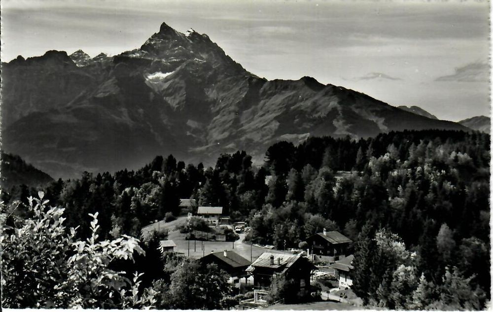 Barboleusaz (Gebraucht) in Hochdorf für CHF 4 – mit Lieferung auf ...