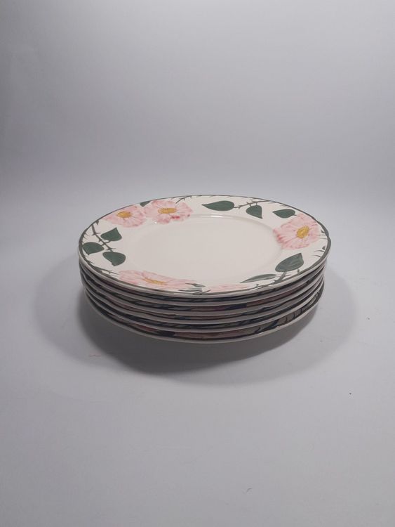 6 Villeroy & Boch Porzellan Speiseteller - Wild-Rose (Gebraucht) in Männedorf für CHF 51 – mit ...