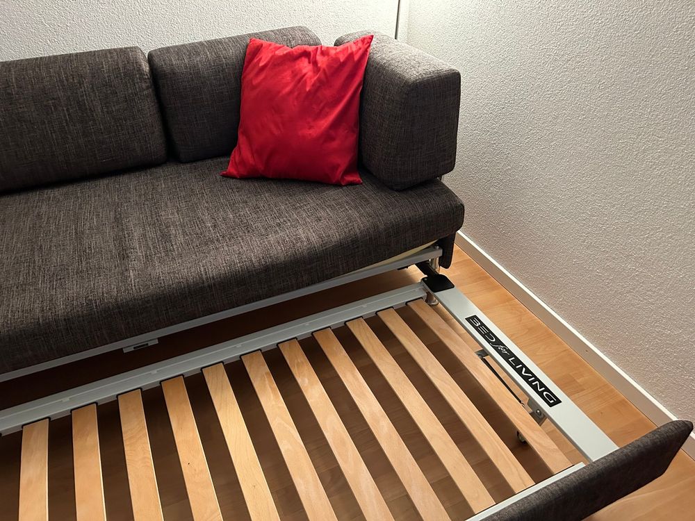 SWISSPLUS Bettsofa Doppio, mit Bico-Matratze | Kaufen auf Ricardo