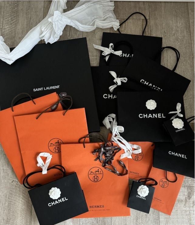 Chanel, Hermes Taschen,Kamelien,Original (Gebraucht) in Rüdlingen für ...