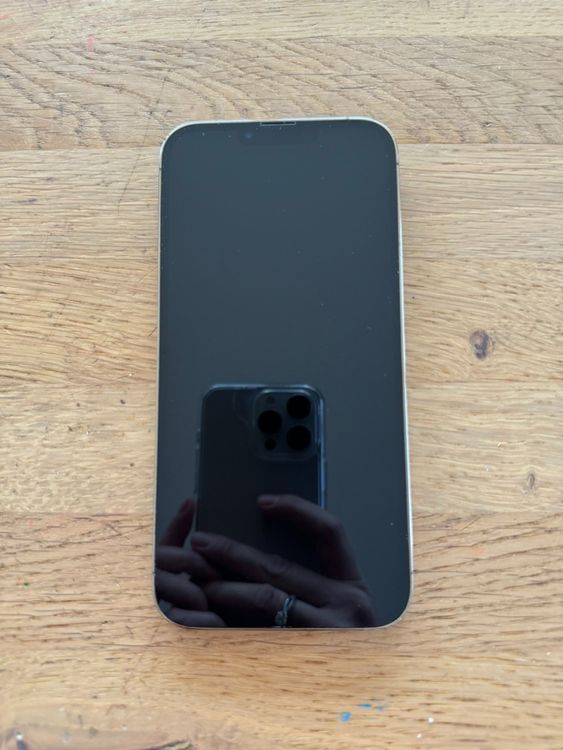 Ihpone 13 Pro Max, 1 TB | Kaufen auf Ricardo