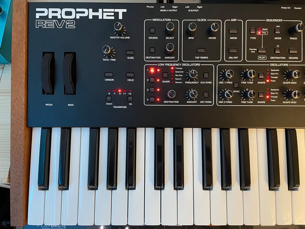 Prophet Rev2 16 im Neuzustand | Kaufen auf Ricardo