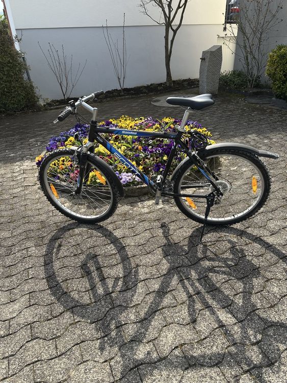 Scott Mountainbike (Neu (gemäss Beschreibung)) in Jona für CHF 160 ...