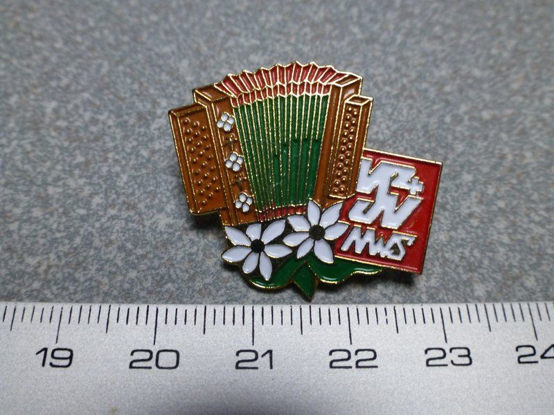 PIN PINS SCHWEIZ Handorgel | Kaufen auf Ricardo
