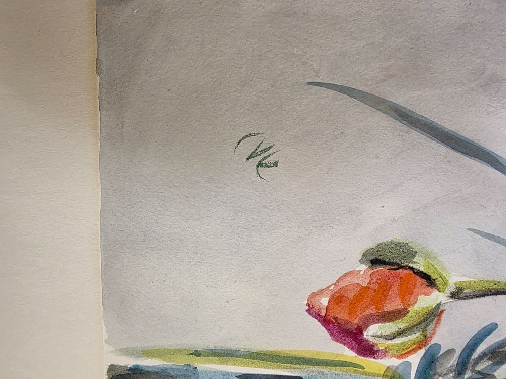 Aquarell Clara Vogelsang Eymann (50×35) 40 % seines Wertes (Gebraucht ...