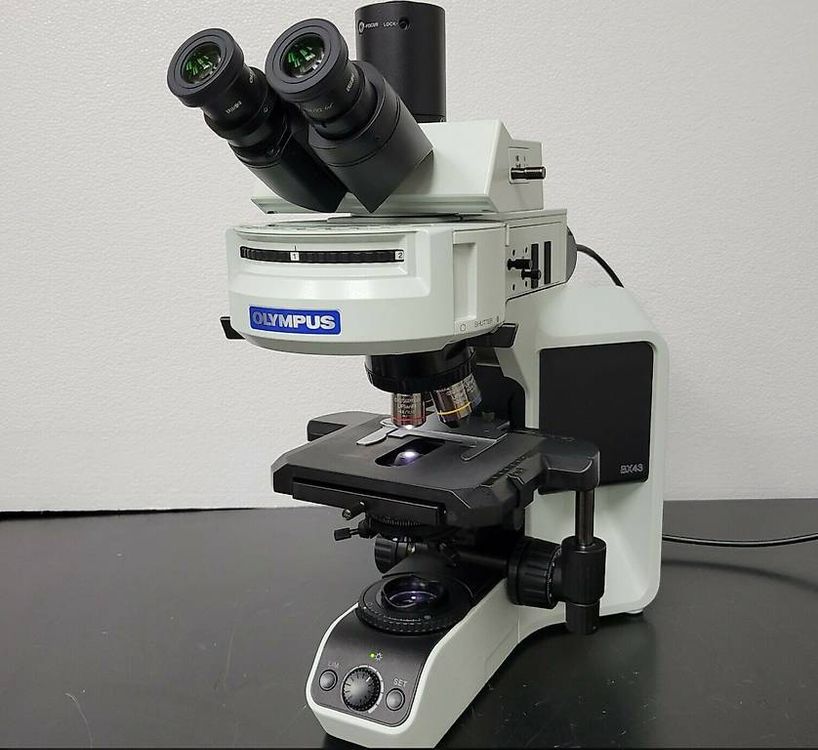 Microscope à fluorescence Olympus BX43 + Mod. BX3-URA-1-2 (D'occasion) à Corjolens pour CHF 7500 ...