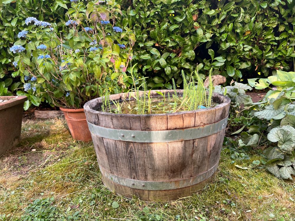 Weinfass für Garten (Gebraucht) in für CHF 61 – nur Abholung auf ...