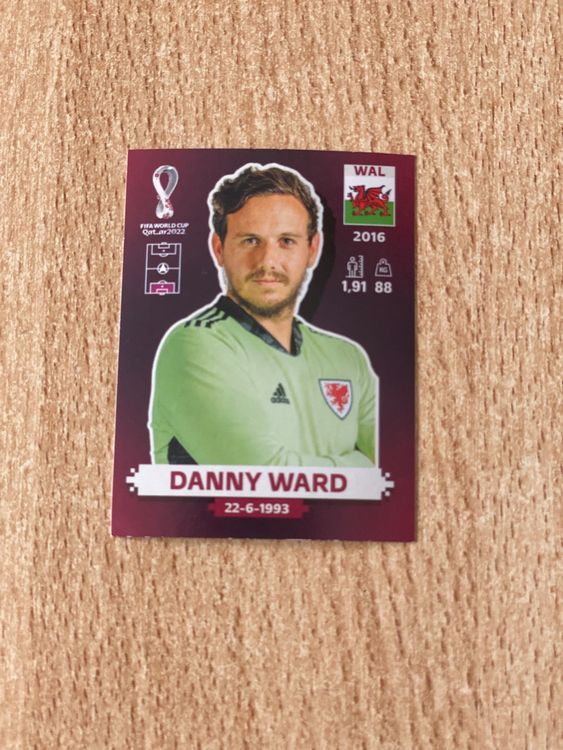 Panini WM 2022 WALES DANNY WARD WAL 3 | Kaufen auf Ricardo