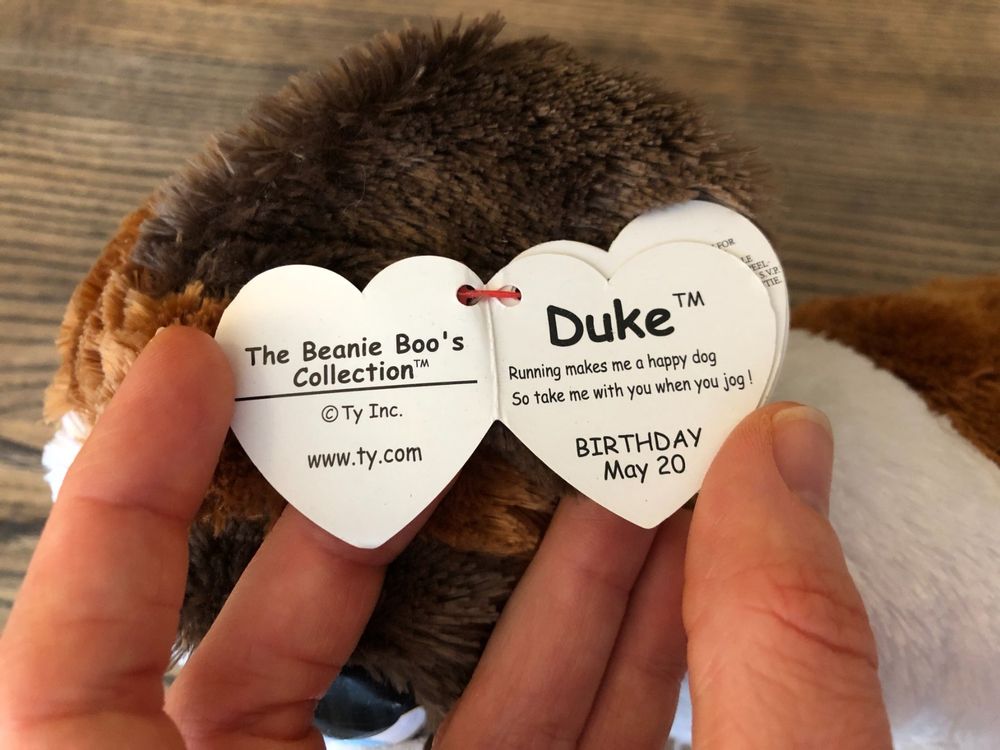 TY Plüschtier Stofftier Hund Duke mit Glitzeraugen (Gebraucht) in ...