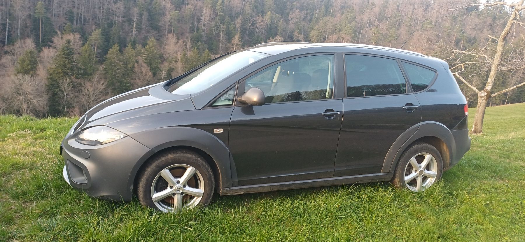 Seat Altea 1.9 TDI (Defekt) in Beinwil SO für CHF 281 – nur Abholung ...