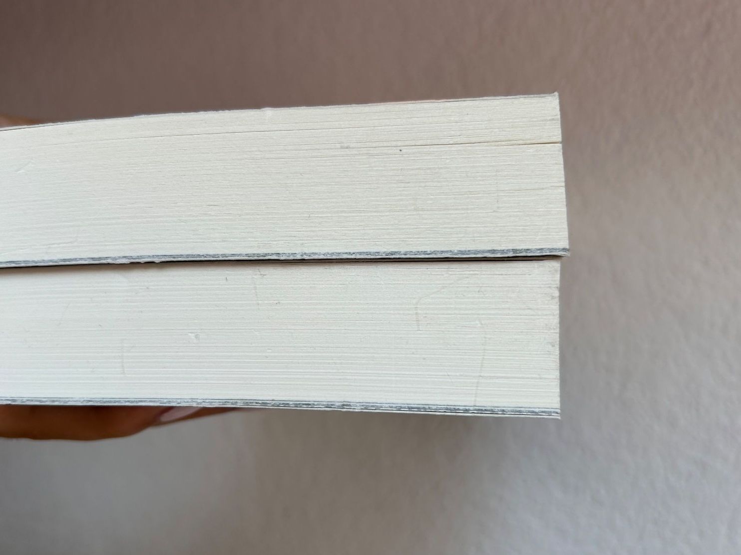 Warrior Cats Staffel II - Band 5 und 6 (Neu (gemäss Beschreibung)) in ...