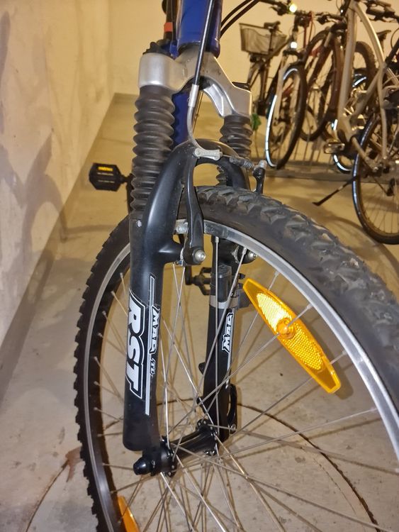 Giant Warp DS2 Mountainbike vorne/hinten Federung (Gebraucht) in ...
