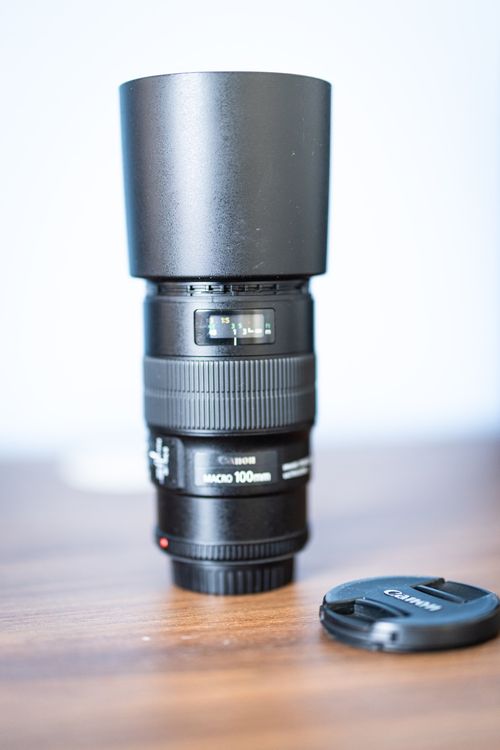 Canon EF 100mm F/2.8L Macro IS USM (Gebraucht) in Rüfenach AG für CHF ...