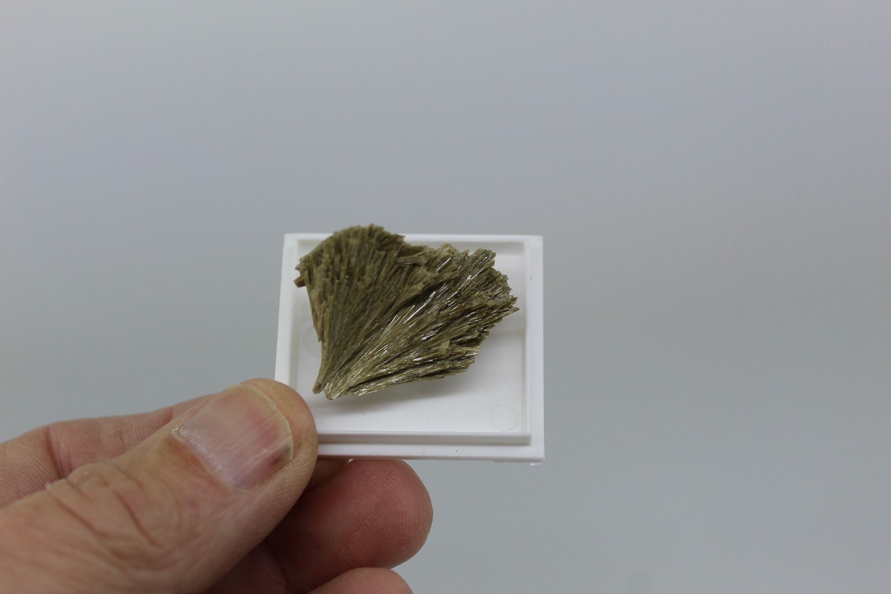 Klinozoisit Clinozoisite Lukmanier - Alpe Stgegia (Nuovo (secondo la ...