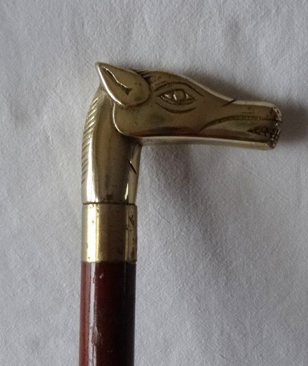 Laufstock Gehstock (Gebraucht) in Minusio für CHF 52 – mit Lieferung ...