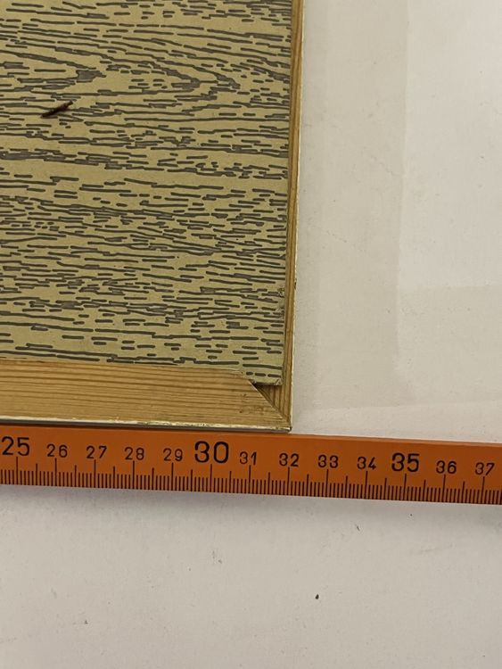 Antike Lithographie "Wiener Fuhrwerk",gerahmtes Bild (nik92) (Gebraucht ...