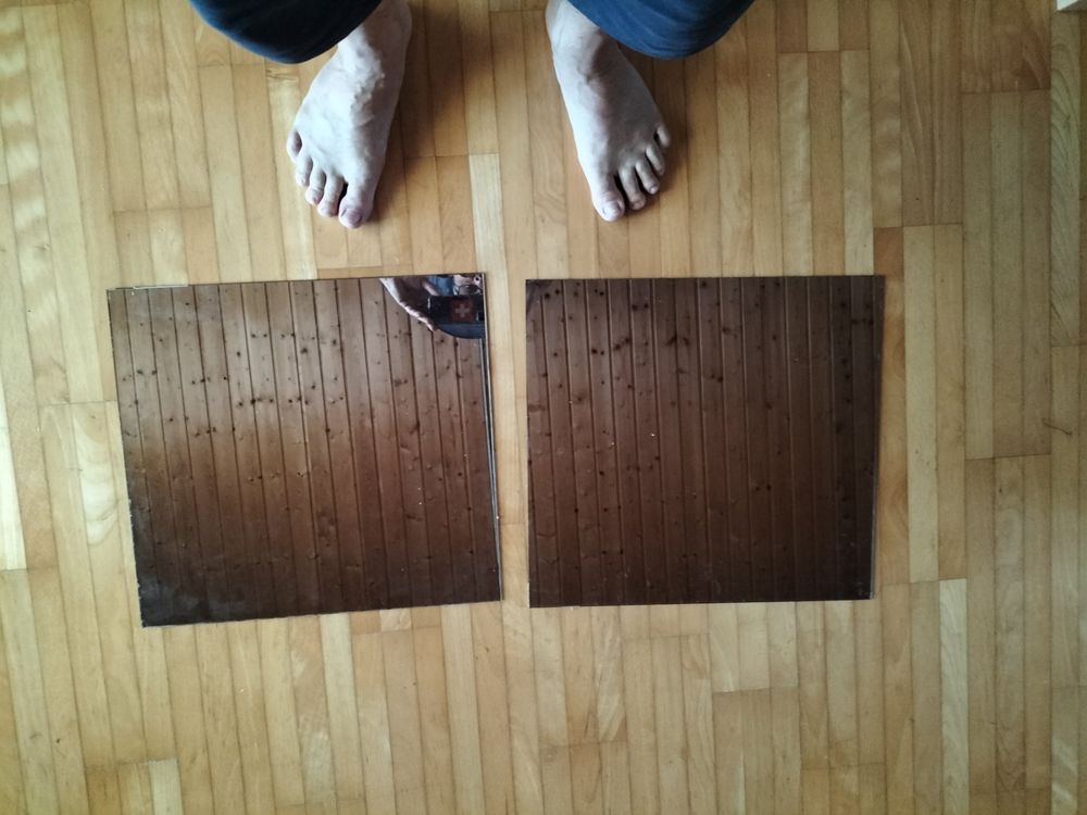 Spigel 2 x (Gebraucht) in Beringen für CHF 10 – mit Lieferung auf Ricardo kaufen