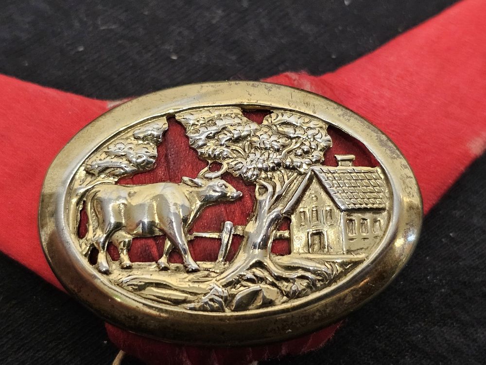 Antike Silber Brosche Appenzell Trachten (Gebraucht) in Wolfertswil für CHF 160 – mit Lieferung ...