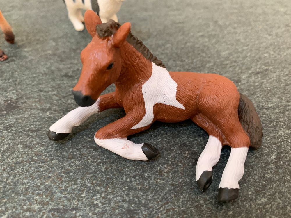 Schleich Tiere Set: 2xFohlen, 1xKatze, 1xMaus (Gebraucht) in Uitikon ...