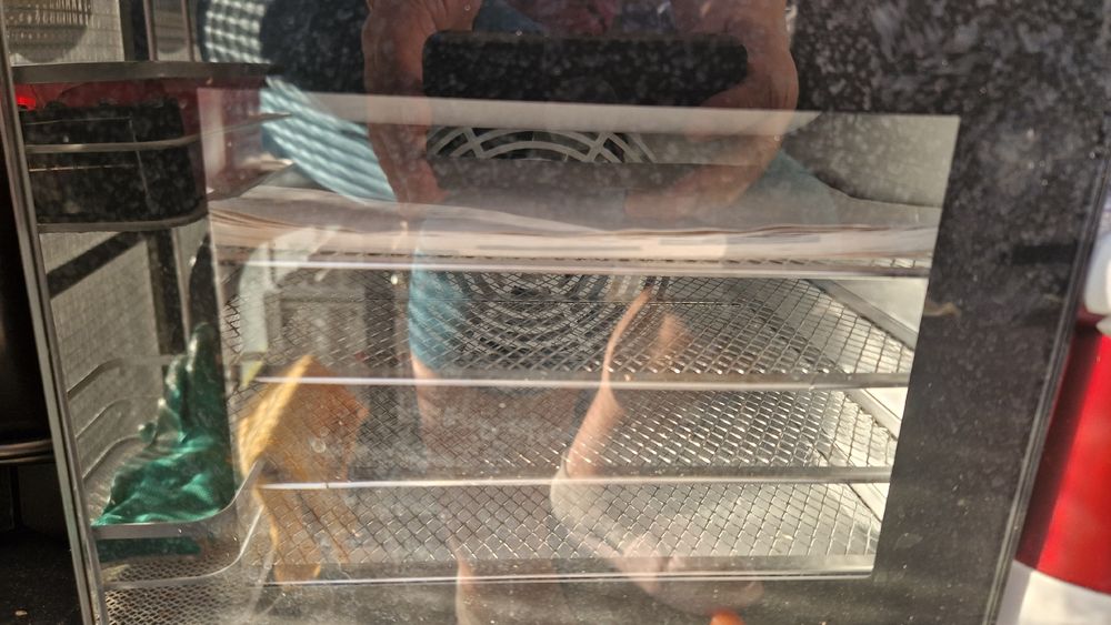 Betry Bossi Fust Dörrautomat mini (Gebraucht) in Kreuzlingen für CHF 20 ...