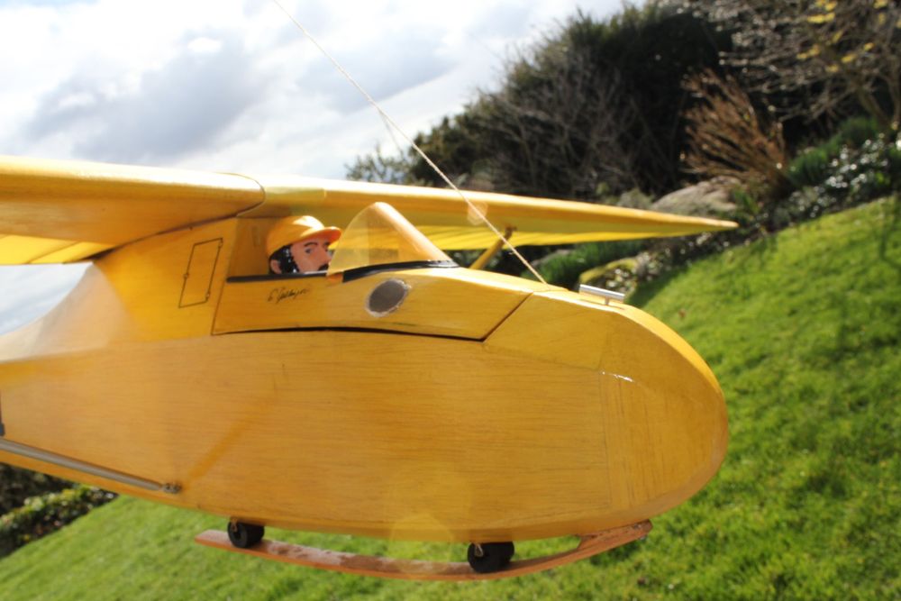 Grunau Baby - Oldtimer Segelflieger (Neu (gemäss Beschreibung)) in ...