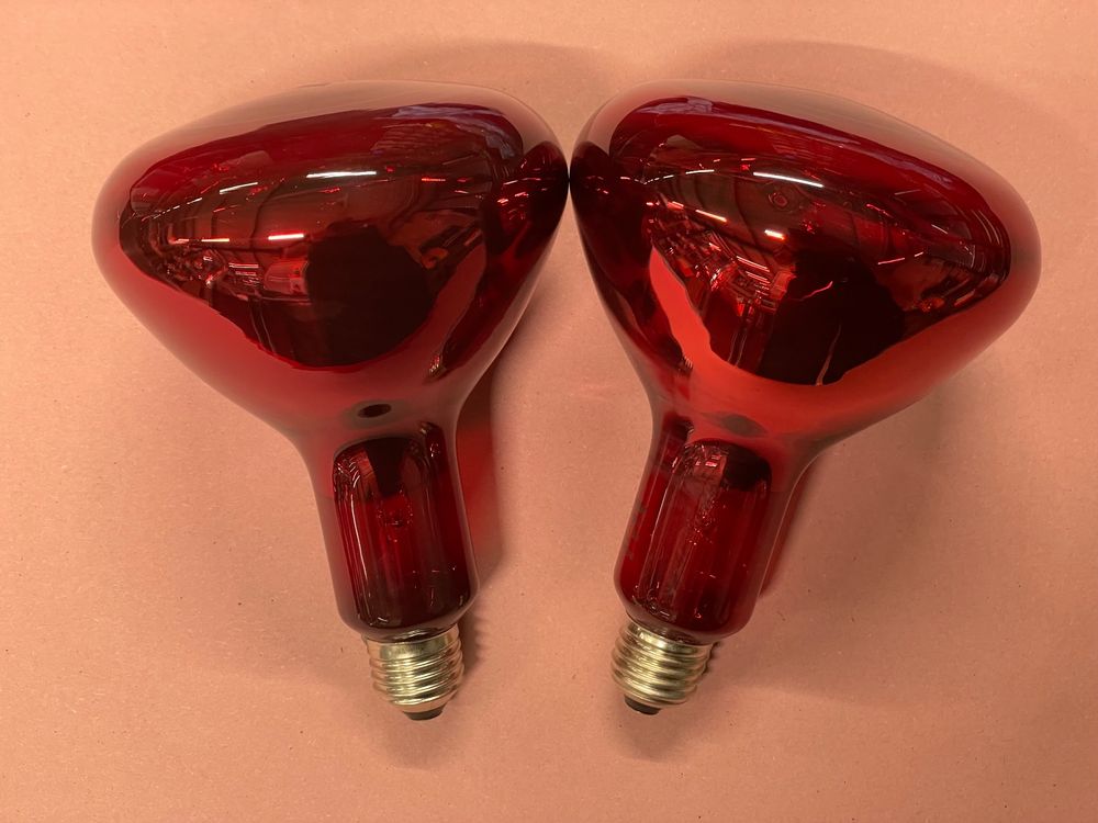 2x Philips Rotlicht Glühbirne IR Rot Licht Brut Wärme Lampe (Gebraucht ...