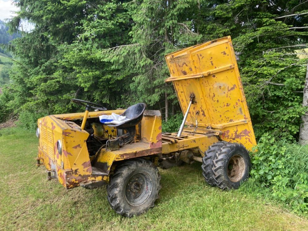 Dumper (Dreiseitenkipper) (Gebraucht) in Marbach LU für CHF 1850 – nur ...