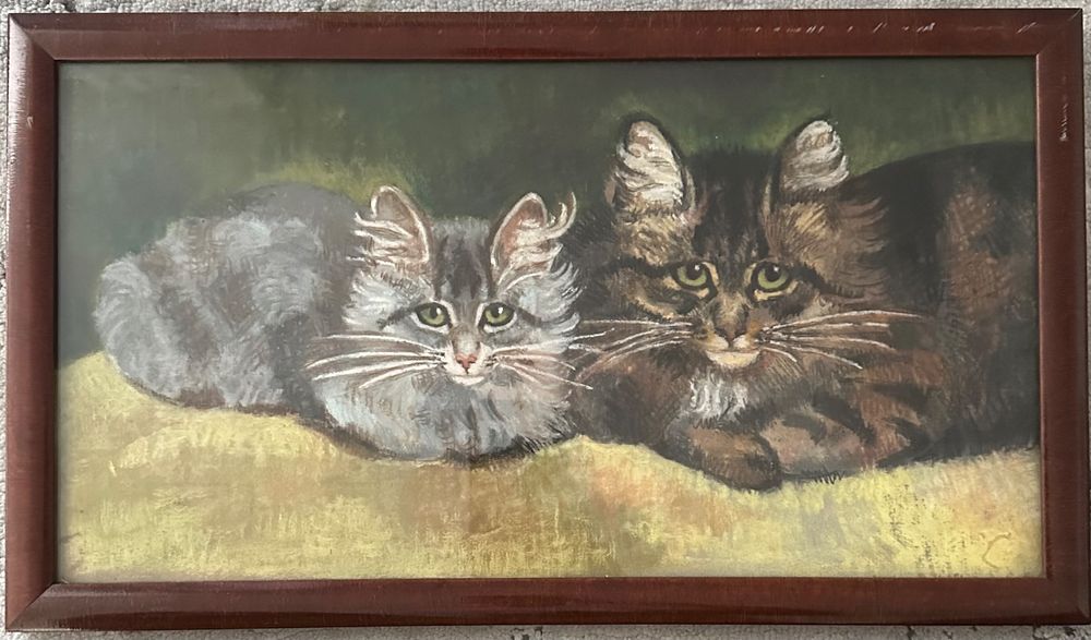 Dora Hiltbrunner (XIX-XX) Mischtechnik von Katzen (Gebraucht) in Root ...