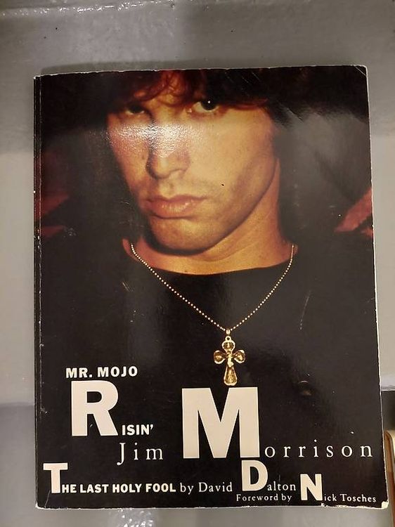 Mr. Mojo Risin': Jim Morrison, the last holy fool (Gebraucht) in ...