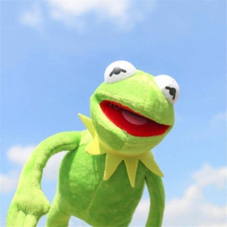Kermit der Frosch von der Muppet Show 40 (Neu und originalverpackt) in ...