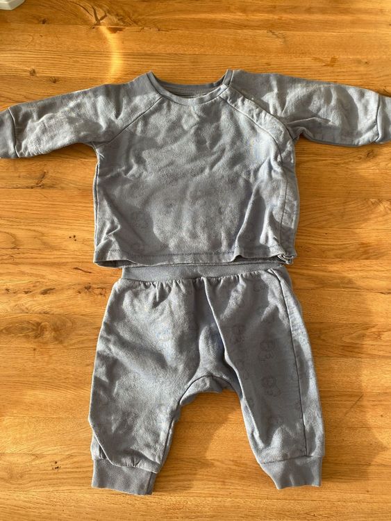 Hose & (Wickel)Pulli von H&M Gr. 62 - mit Löwen Print (Gebraucht) in ...