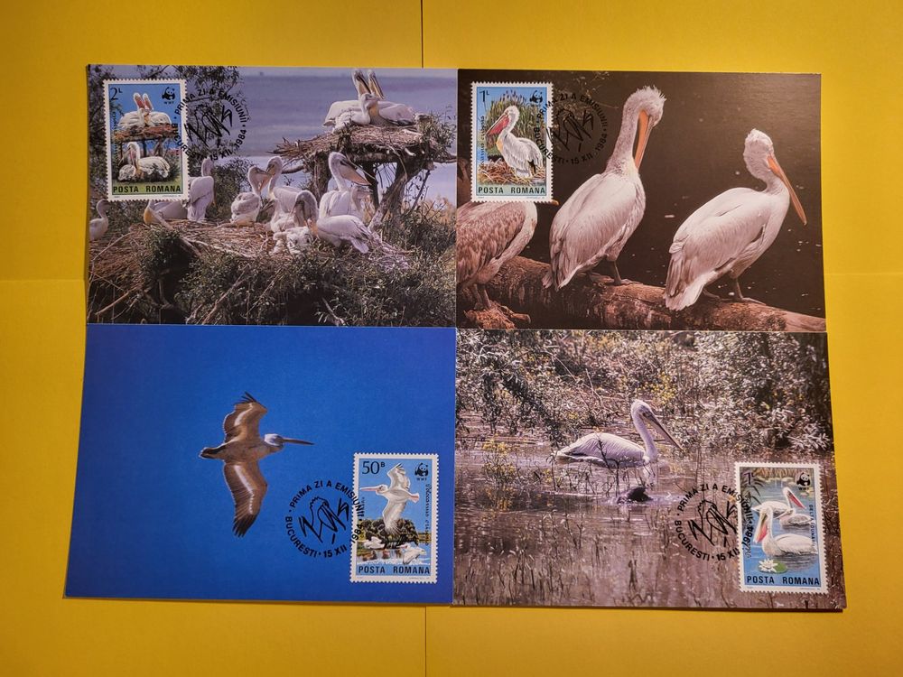 WWF Maximumkarte, Rumänien 1985, Krauskopfpelikan, unadress. (Gebraucht ...
