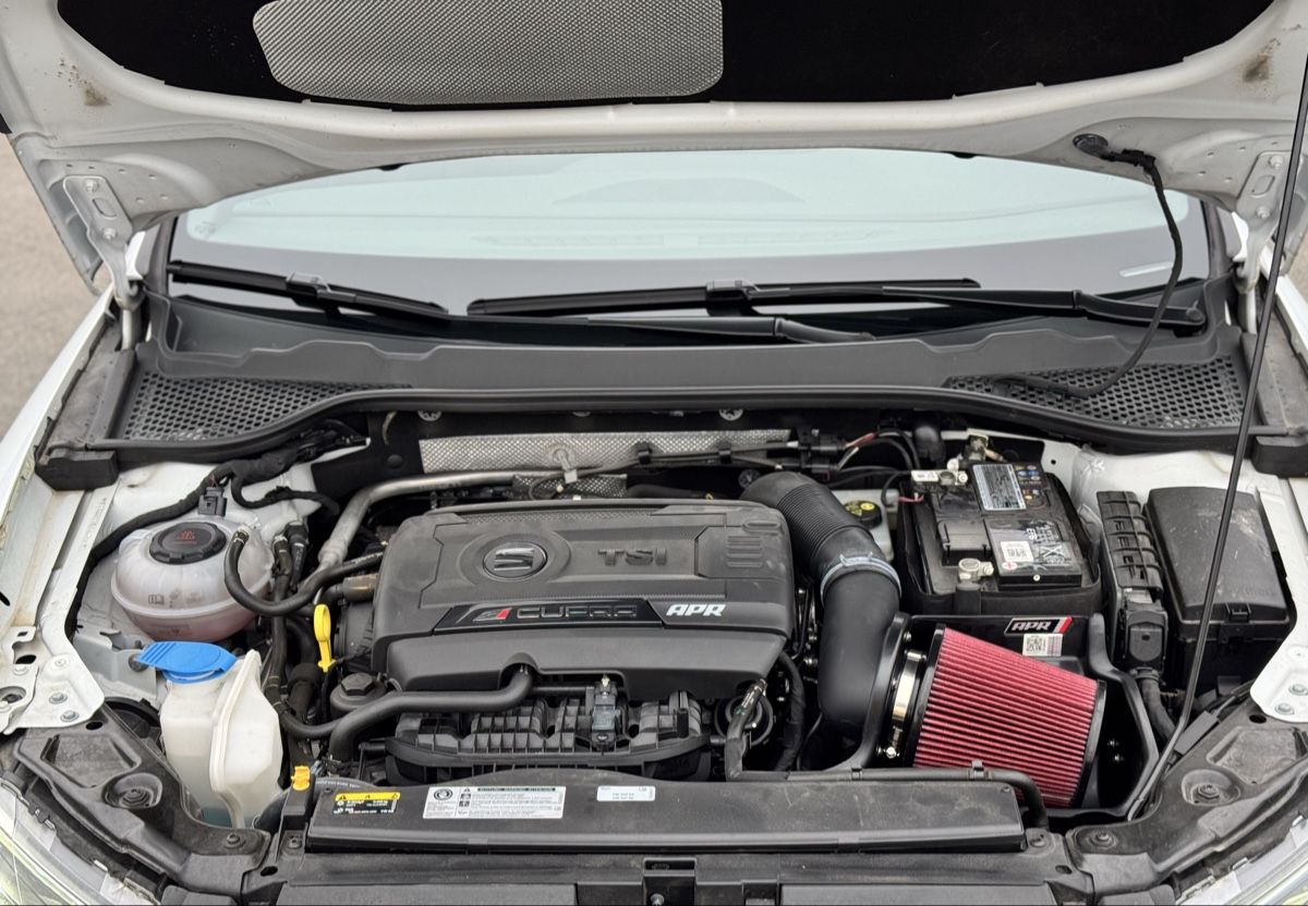 Seat Leon Cupra R 4-Drive (APR) (Neu (gemäss Beschreibung)) in ...