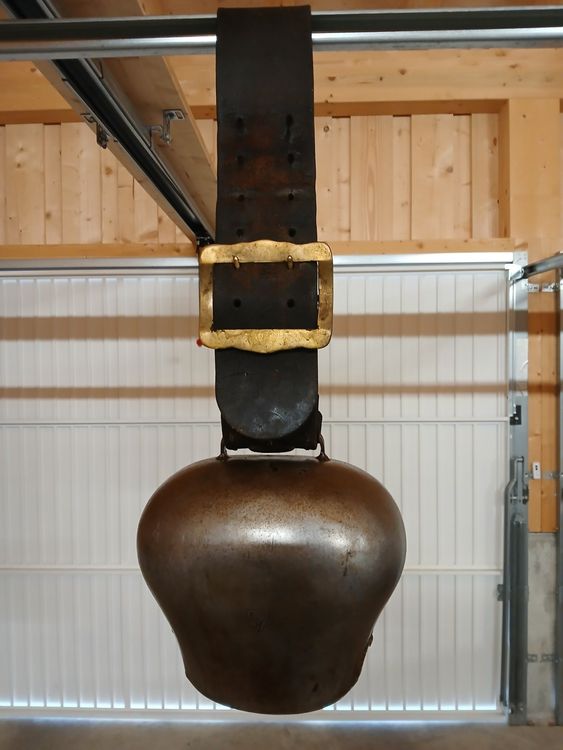 Treichel (Gebraucht) in Guggisberg für CHF 63 – mit Lieferung auf ...